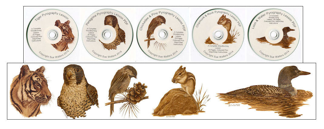 Pyrography Education Discount Pack 1 – Sue Walters Pyrography