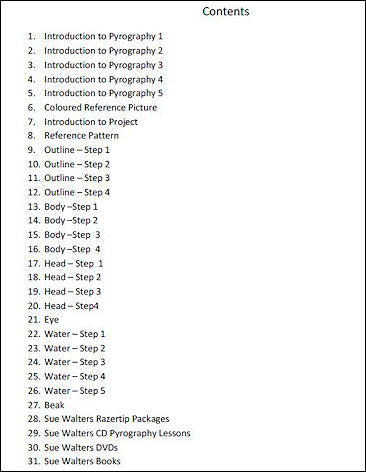 Sue Walters Pyrography Lesson CD - #4 Loon, Water & Reflection